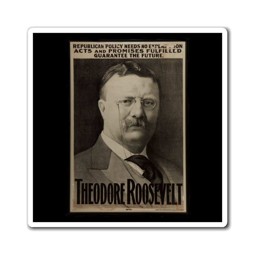 Teddy Roosevelt Campaign